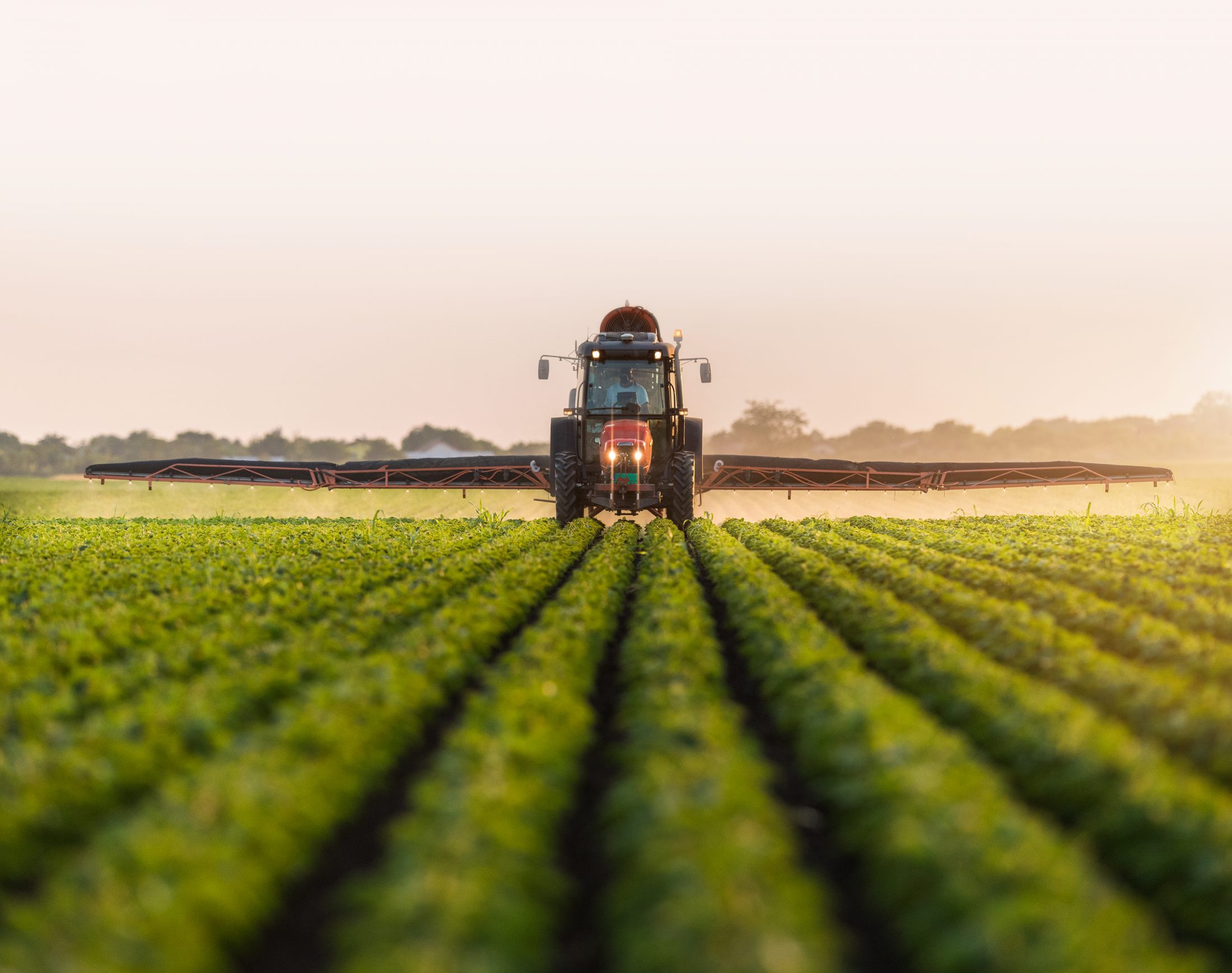 Sustainable Crop Protection Hub – Sustainable Protection